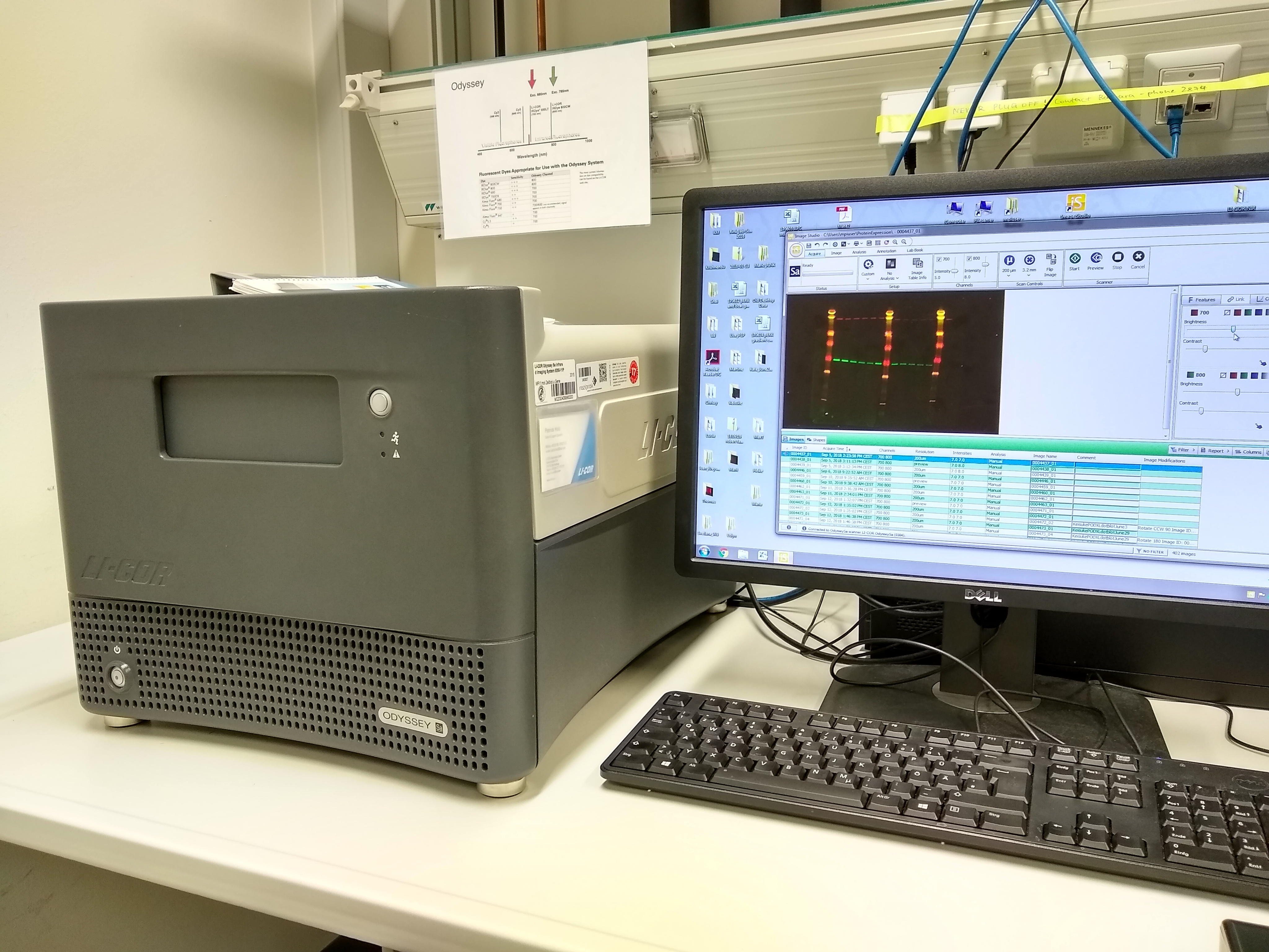 Odyssey SA Li-Cor Infrared Imaging system Li-Cor | Dresden ...